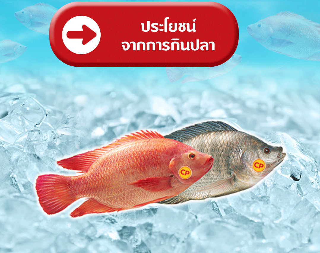 CP Fish Products